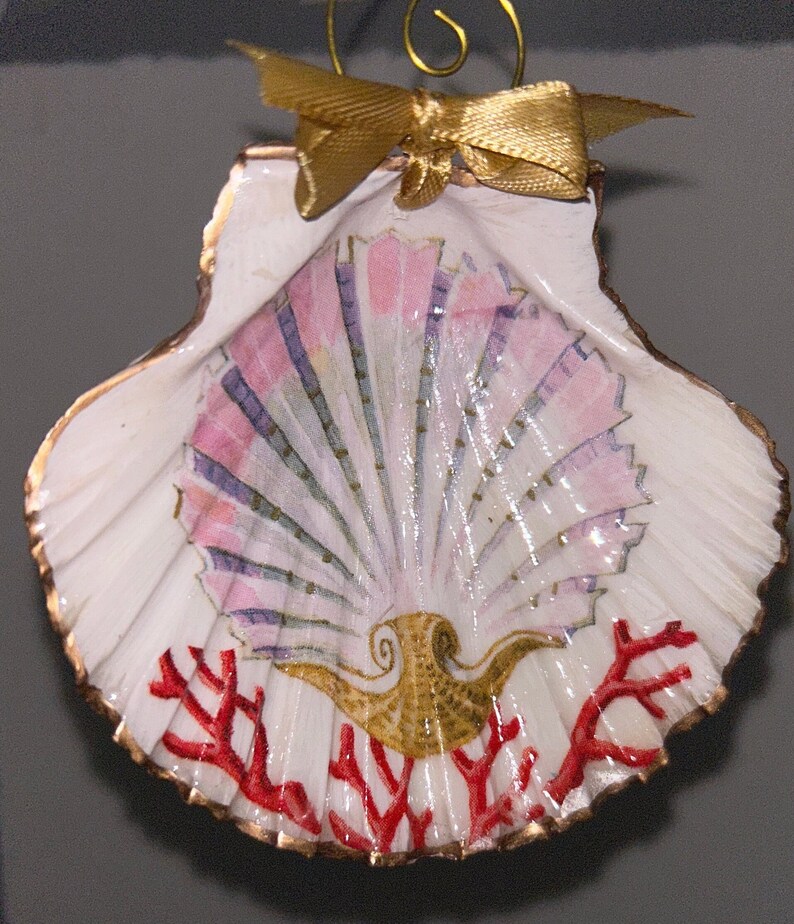 Scallop Shell Ornament With Scallop Shell - Etsy