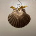 Scallop Shell Ornament - Etsy