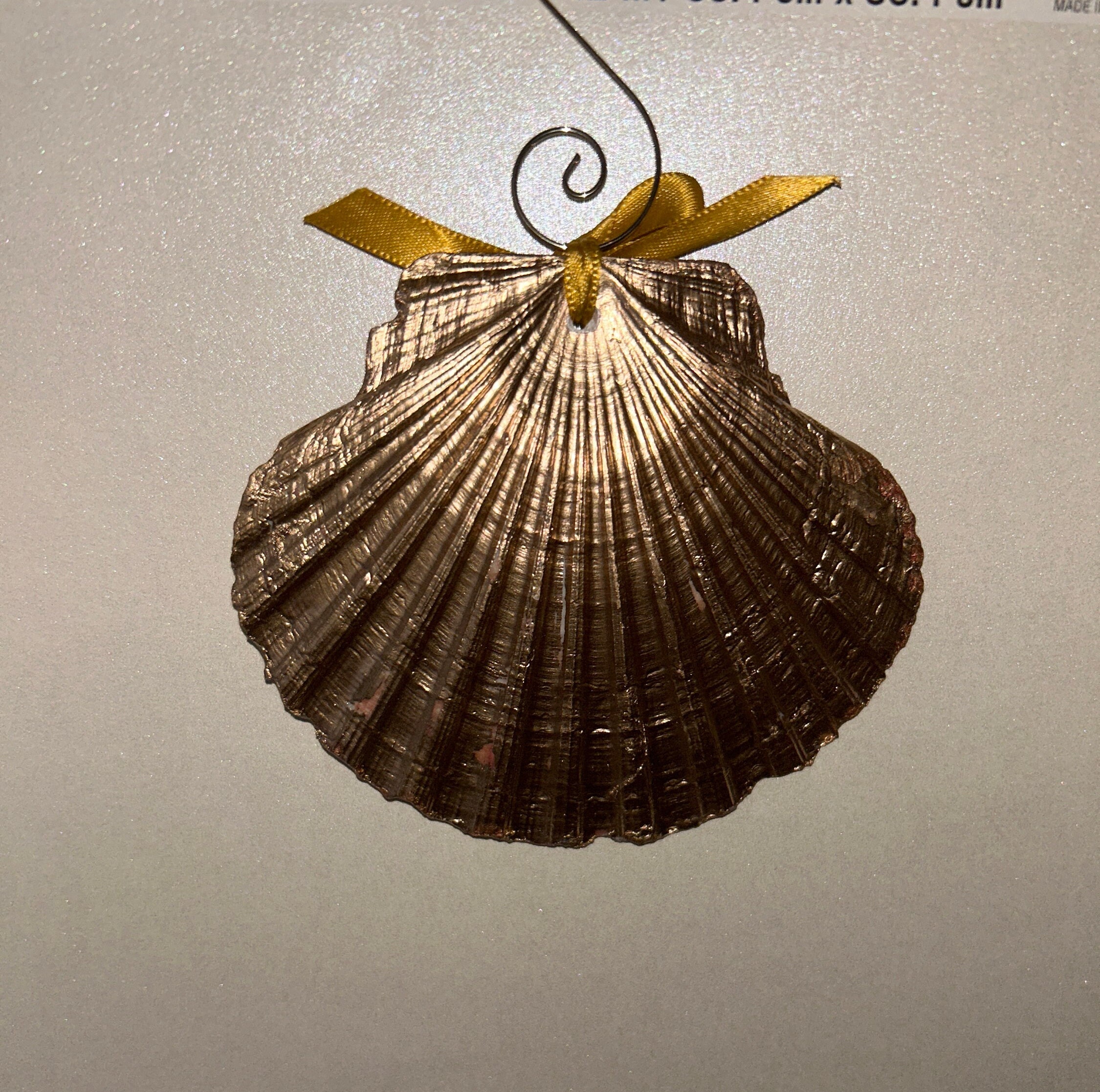 Scallop Shell Ornament - Etsy