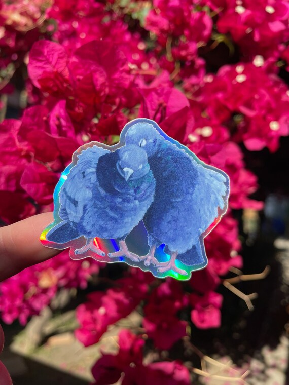 Pigeon Holographic Glossy Vinyl Sticker - Etsy