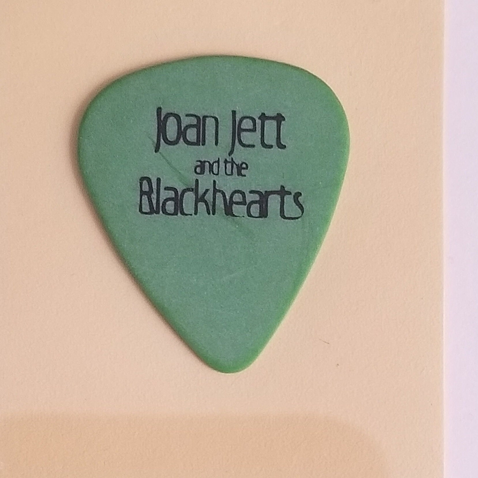 Joan Jett Blackhearts Hand Signed Autographed Photo Framed Display+ ...