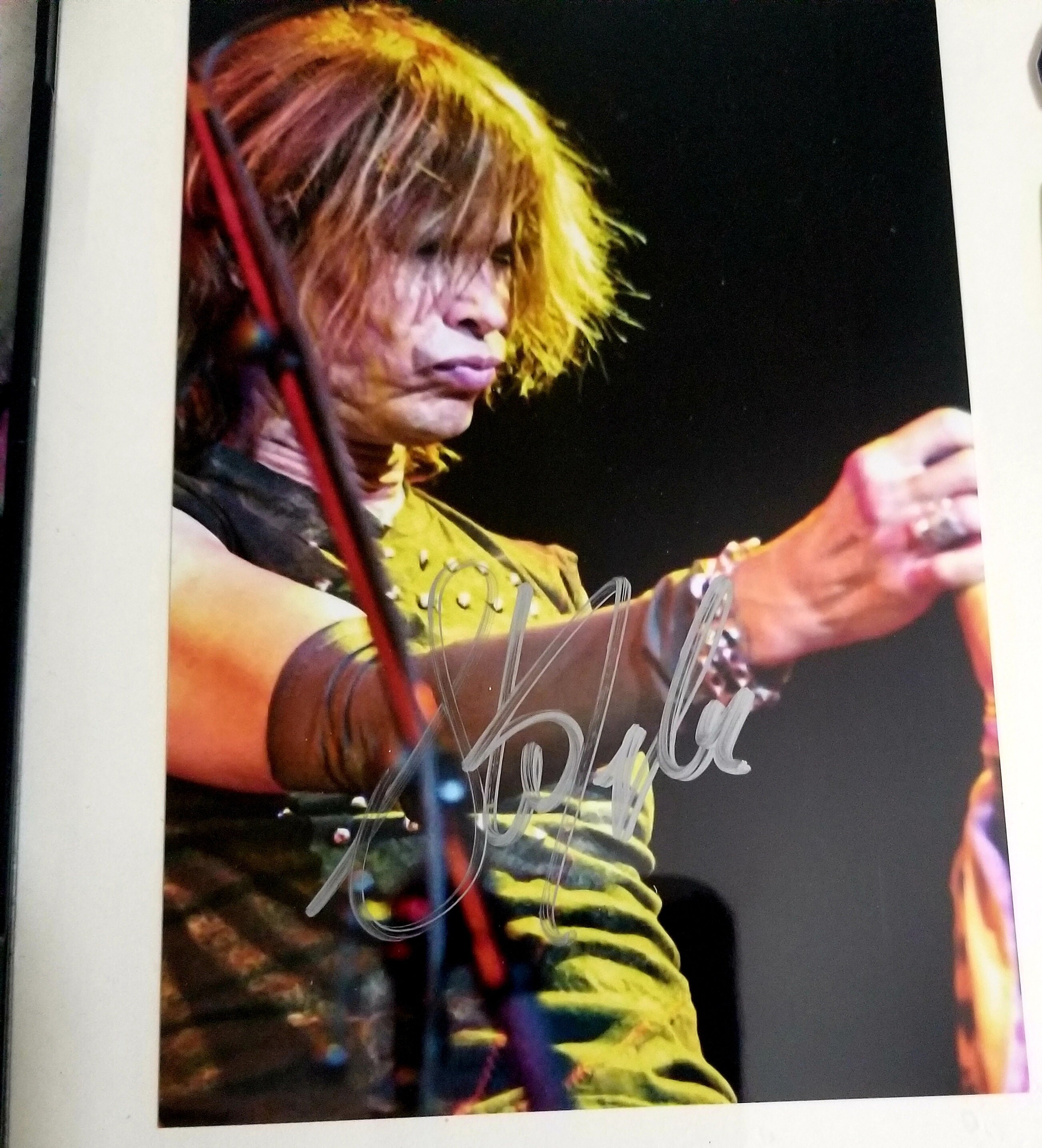 Aerosmith Steven Tyler Vintage Framed Hand Signed Autographed 4x6 Inch ...