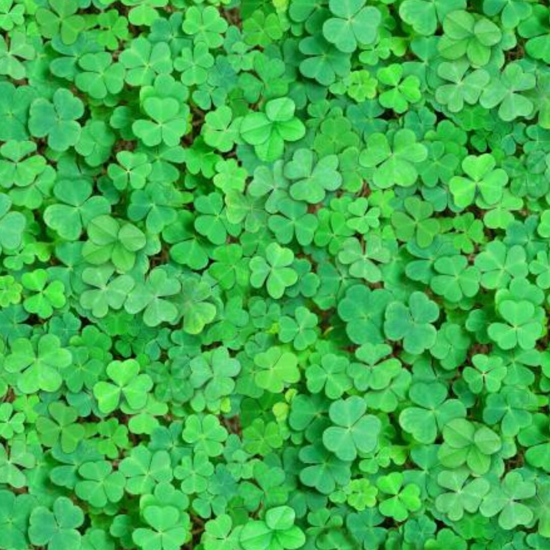 Green Clover Fabric, Realistic Green Clover by Elizabeth Studios ...