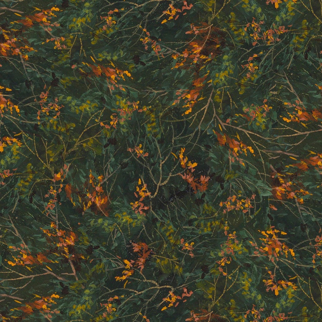 Fall Leaves Fabric, Leafy Texture Harvest Autumn Retreat by Abraham ...