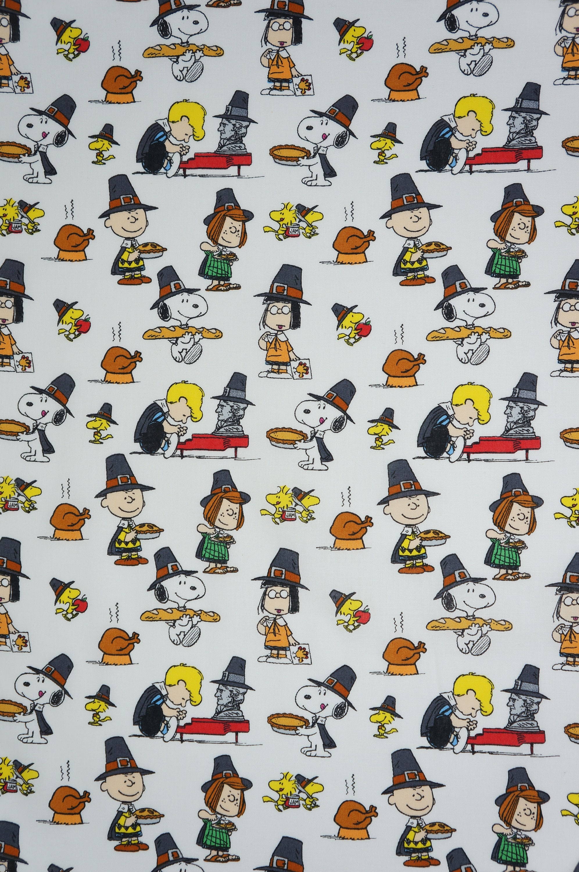 Snoopy & Peanuts Gang Thanksgiving Fabric, Snoopy Woodstock Thankful by ...