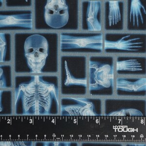 Skeleton X-ray Fabric, Human X-ray Fabric With Full Moons Fabric ...
