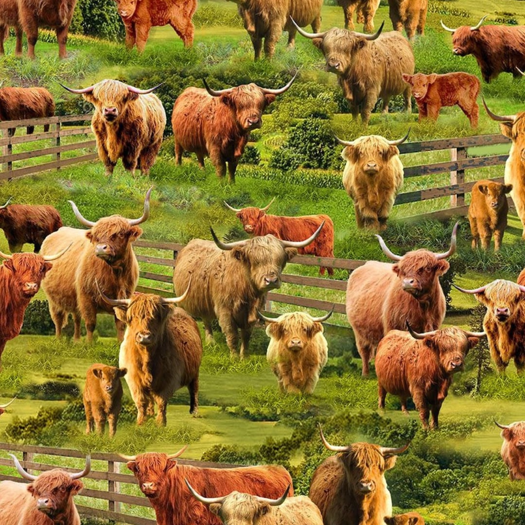 Highland Cow Fabric, Highland Cows by Timeless Treasures Digitally ...