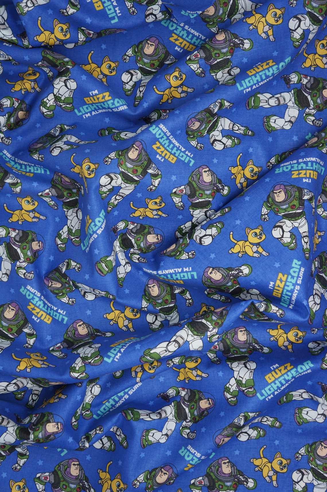 Buzz Lightyear and Sox Disney and Pixar Toy Story Licensed - Etsy