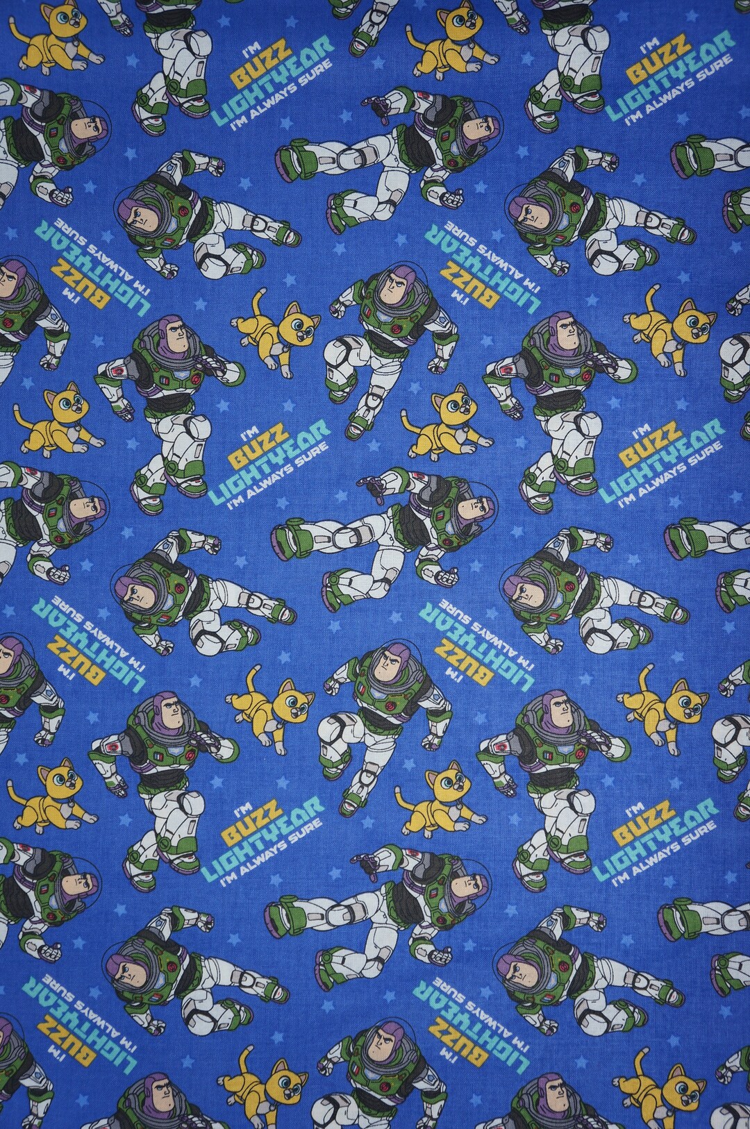 Buzz Lightyear and Sox Disney and Pixar Toy Story Licensed Springs ...