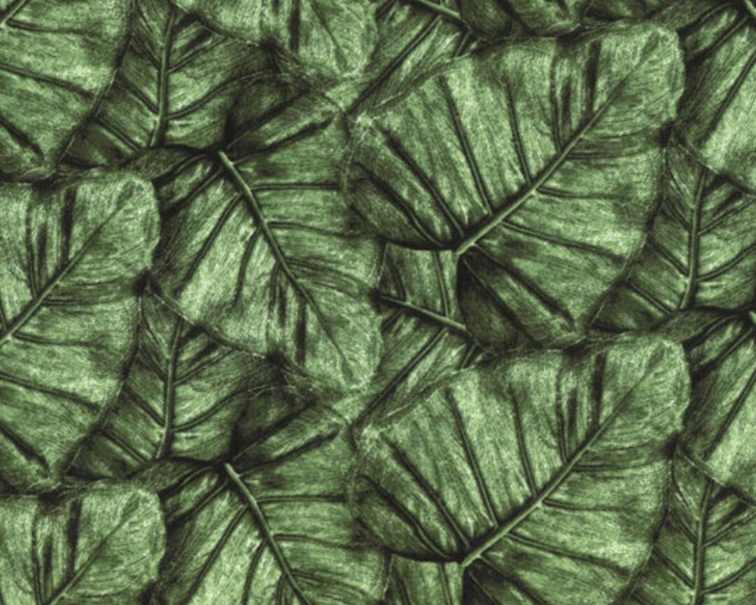 House Plants, Patio Plants Leaves, Quilting Cotton Fabric, Plant Themed ...