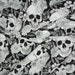 Skulls and Roses Fabric, Skulls and Roses in Black and White by Fabric ...