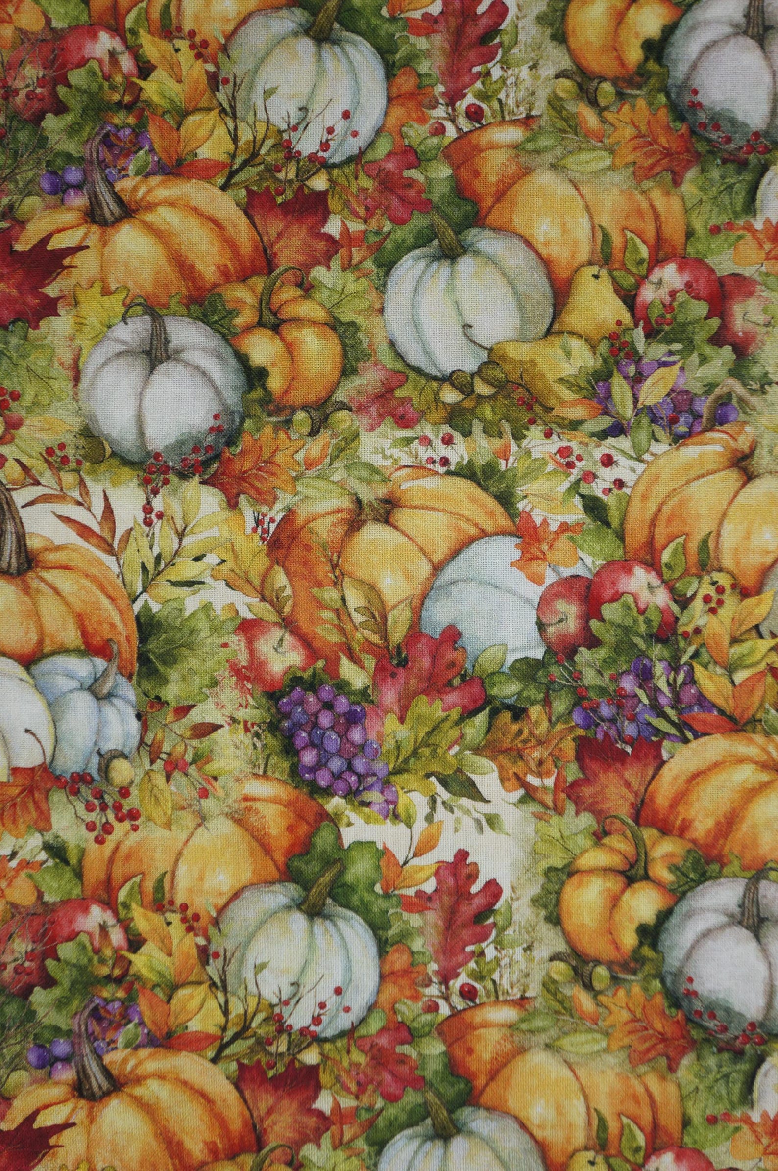 Fall Pumpkin Fabric, Harvest Pumpkins by Susan Winget for Springs ...