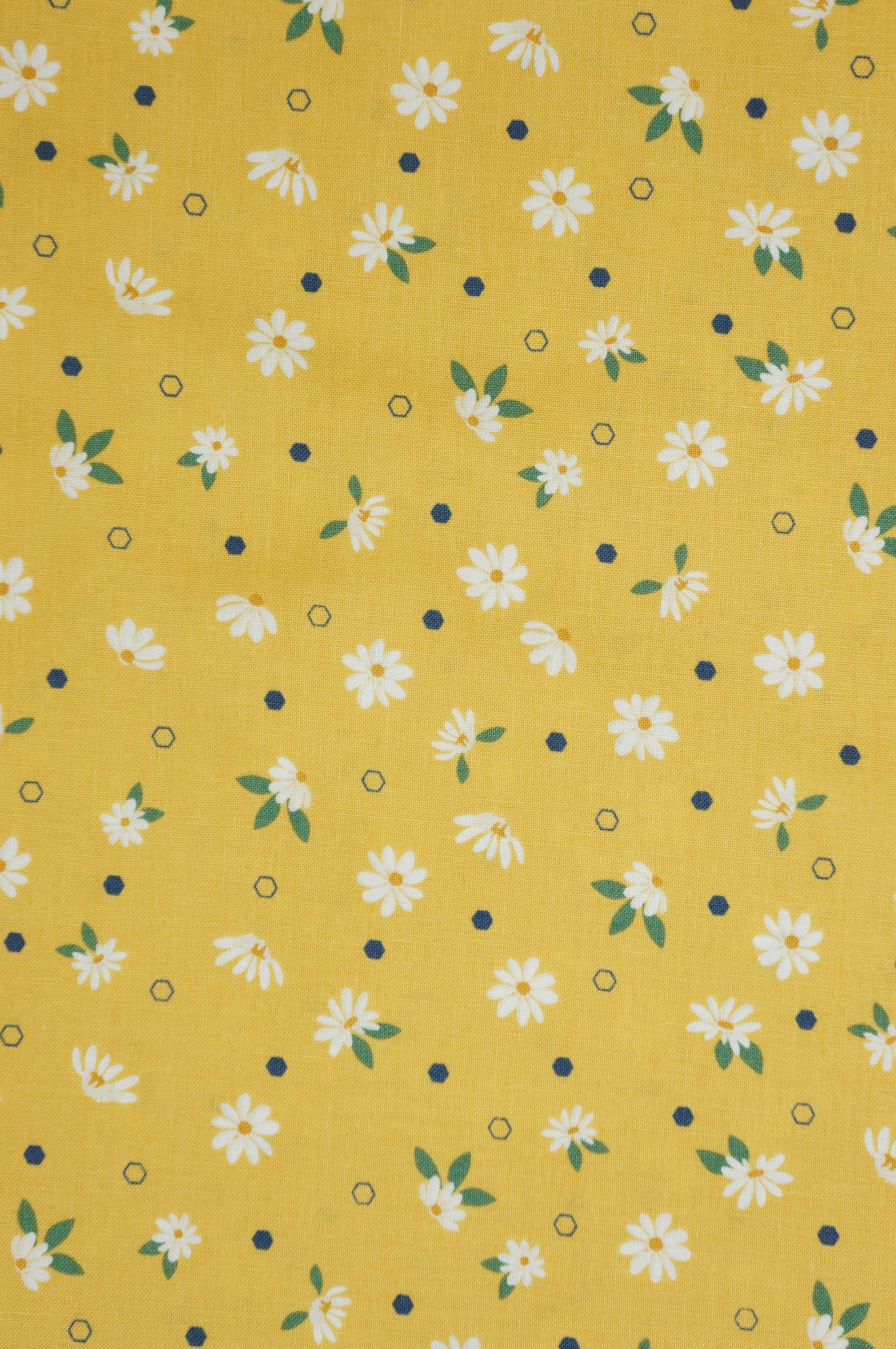 Daisy Fabric, Daisy Fields Floral Harvest Riley Blake Quilting Cotton ...