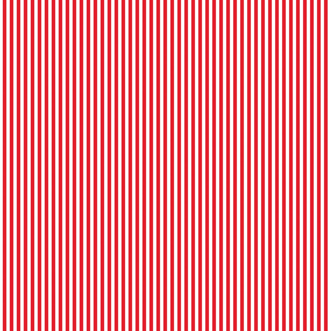 Red Stripe Fabric, Red 1/8" Stripe on White Riley Blake Quilting Cotton ...