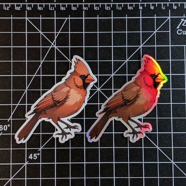 Realistic Bird Stickers - Etsy