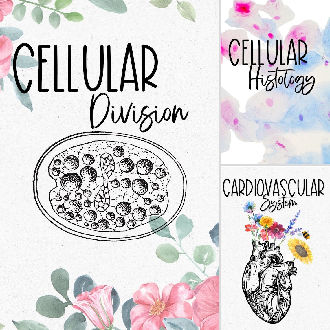 18 Printable Anatomy/ Physiology Sheets | Body System Binder Covers Kit ...