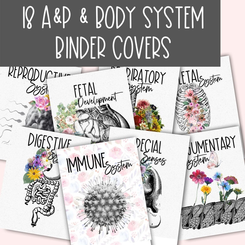 Anatomy Binder Cover Printable Anatomy Binder Cover Printable