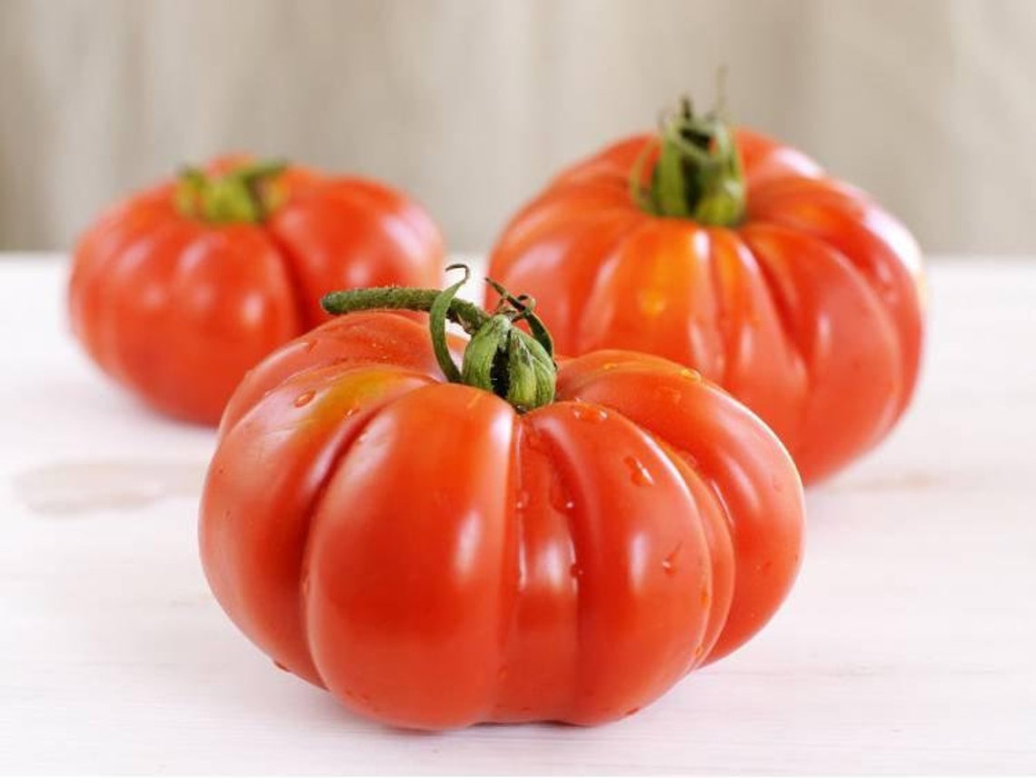 Giant Tomato BRUTUS seeds non GMO | Etsy