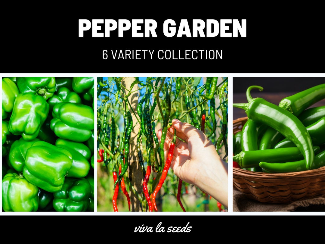 Pepper Seed Collection | 6 Amazing Varieties Ranging in Spiciness | 20% ...