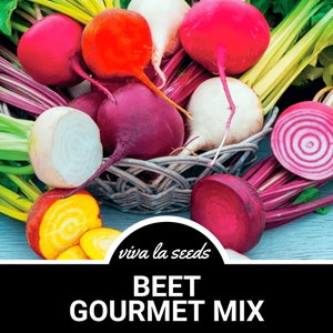 Beet, Gourmet Mix | 50 Seeds | Heirloom | Non-gmo | Beta Vulgaris - Etsy