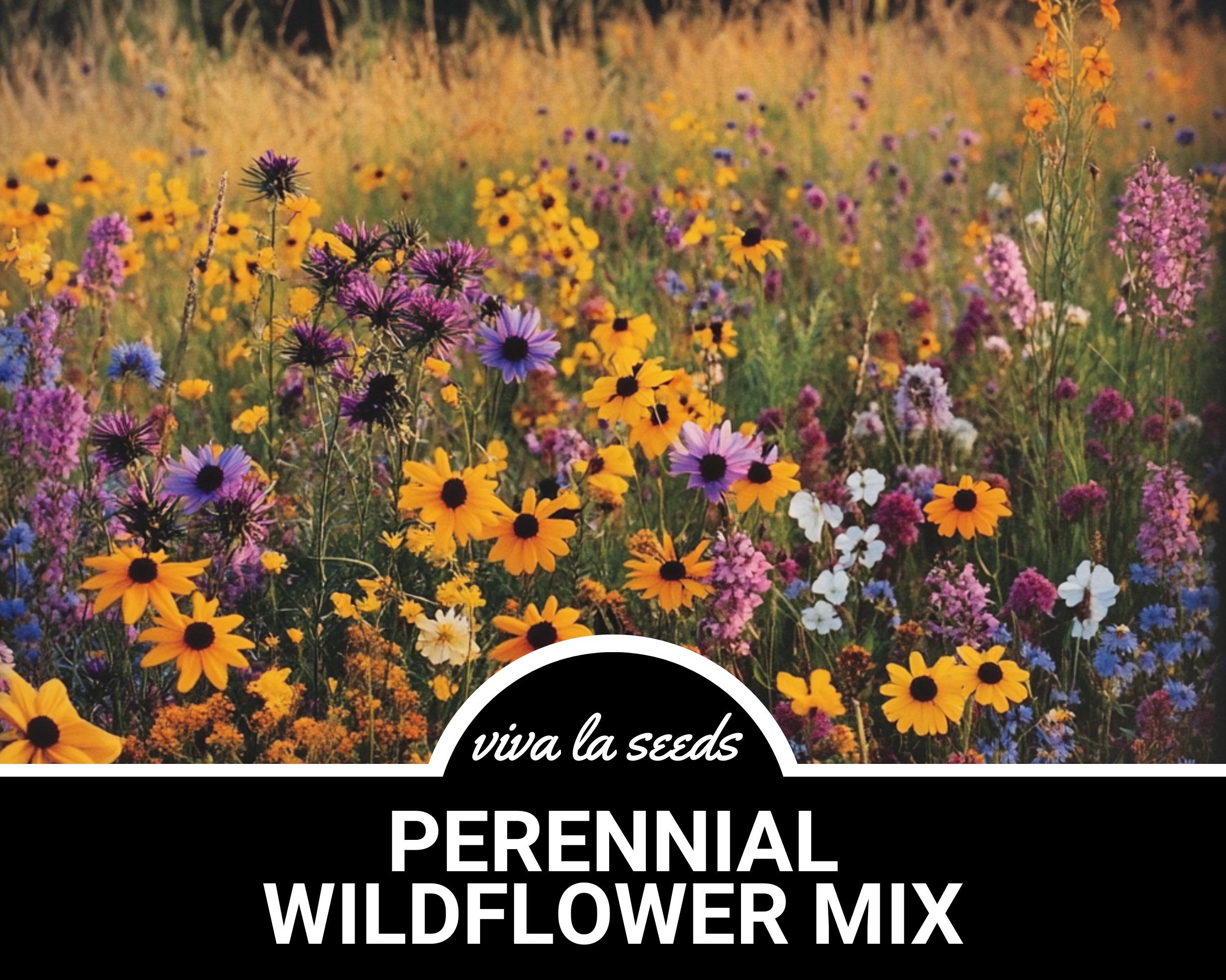 Wildflower Mix, Perennial | 15 Varieties Mix | 1000 Seeds | Stunning ...