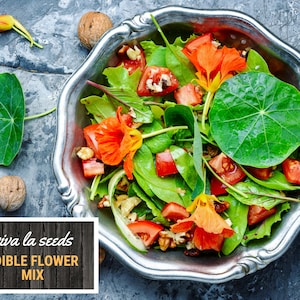 Edible Flower Mix | 100 Seeds | Heirloom | Non-gmo - Etsy