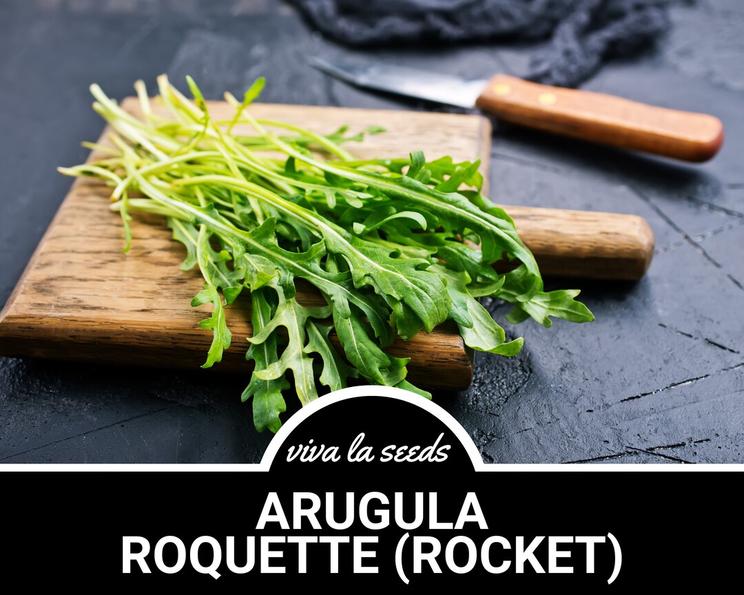 Arugula, Rocket (roquette) | 200 Seeds | Heirloom Herb | Rucola ...