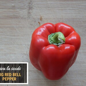 Pepper, Big Red Bell | 30 Seeds | Easy to Grow | Heirloom | Non-gmo ...