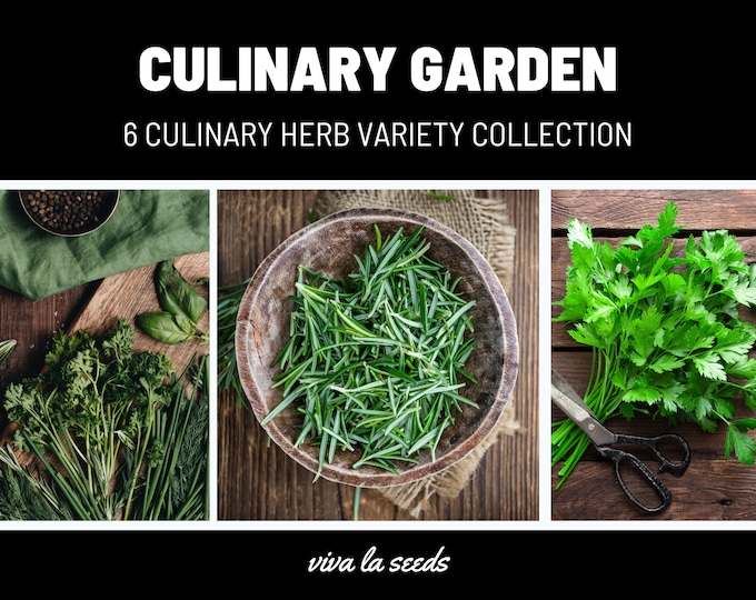 Medicinal Herb Seed Collection - 15 Essential Heirloom Herbs - Grow ...