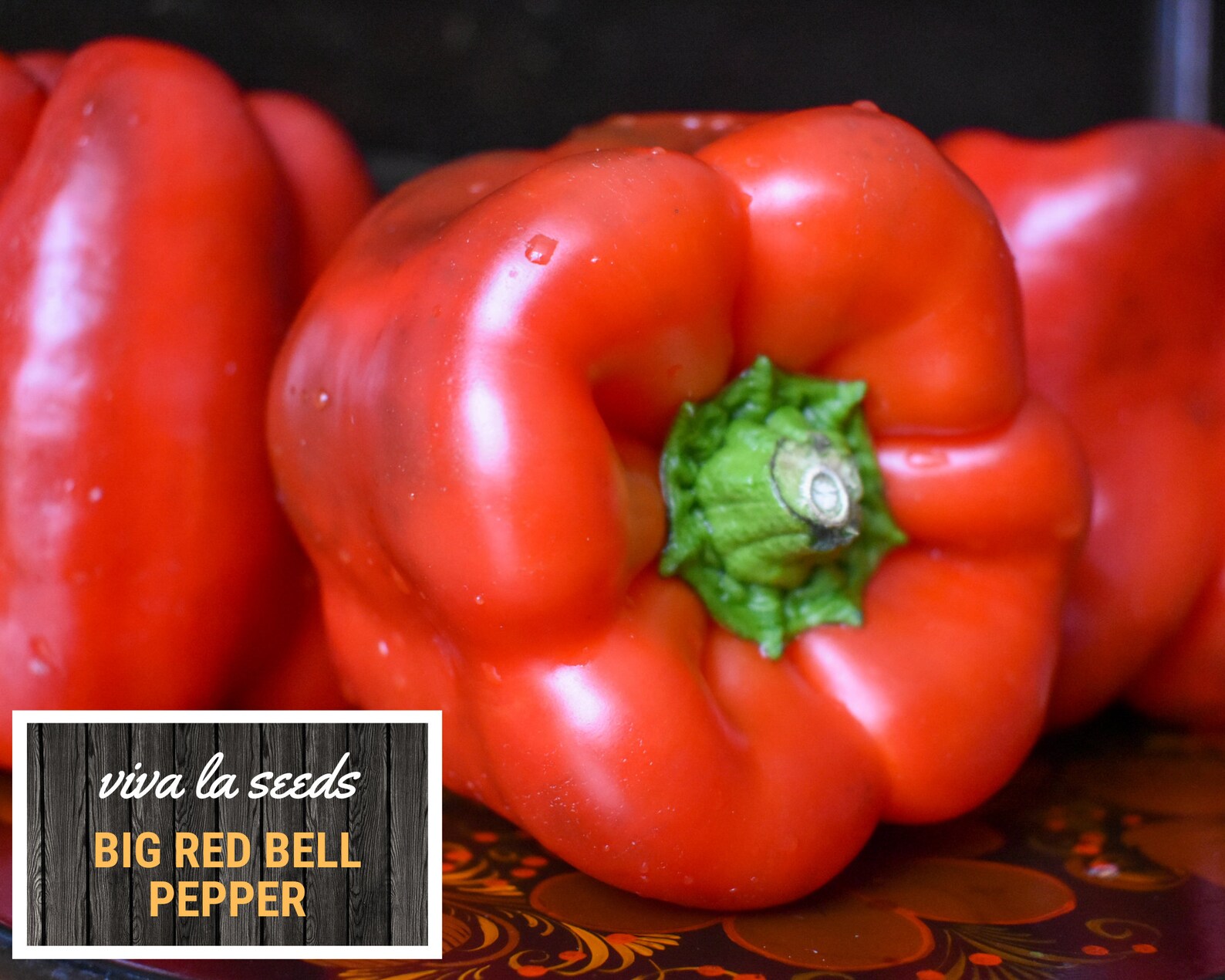 Pepper, Big Red Bell 30 Seeds Easy to Grow Heirloom Non-gmo Capscium ...