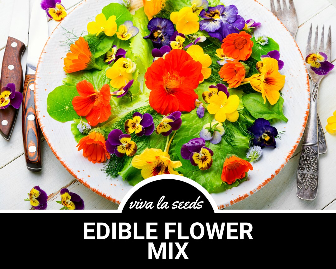 Edible Flower Mix | 100 Seeds | Heirloom | Non-gmo - Etsy