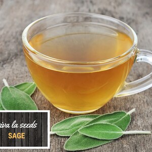 Tea Garden Seed Collection 6 Essential Tea Herb Seeds 20% - Etsy