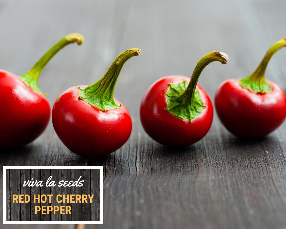 Pepper Red Hot Cherry 25 Seeds Easy to Grow Heirloom | Etsy