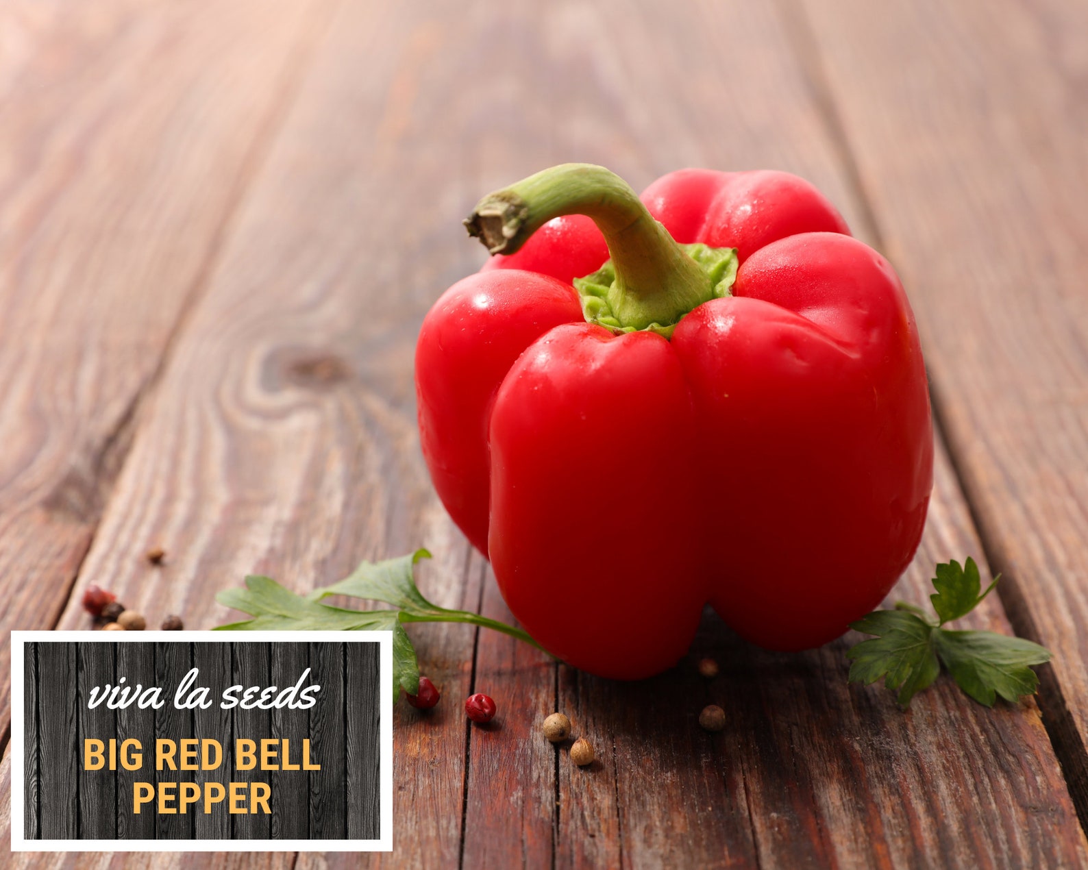 Pepper, Big Red Bell 30 Seeds Easy to Grow Heirloom Non-gmo Capscium ...