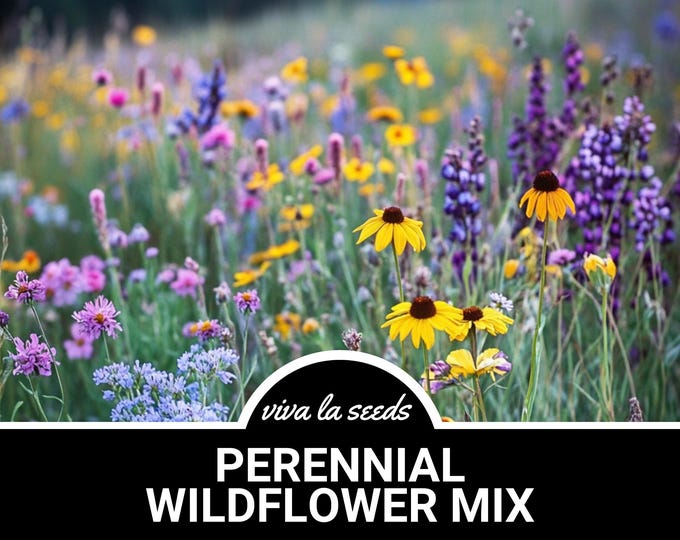 Wildflower Mix, Perennial 15 Varieties Mix 1000 Seeds Stunning Flowers ...