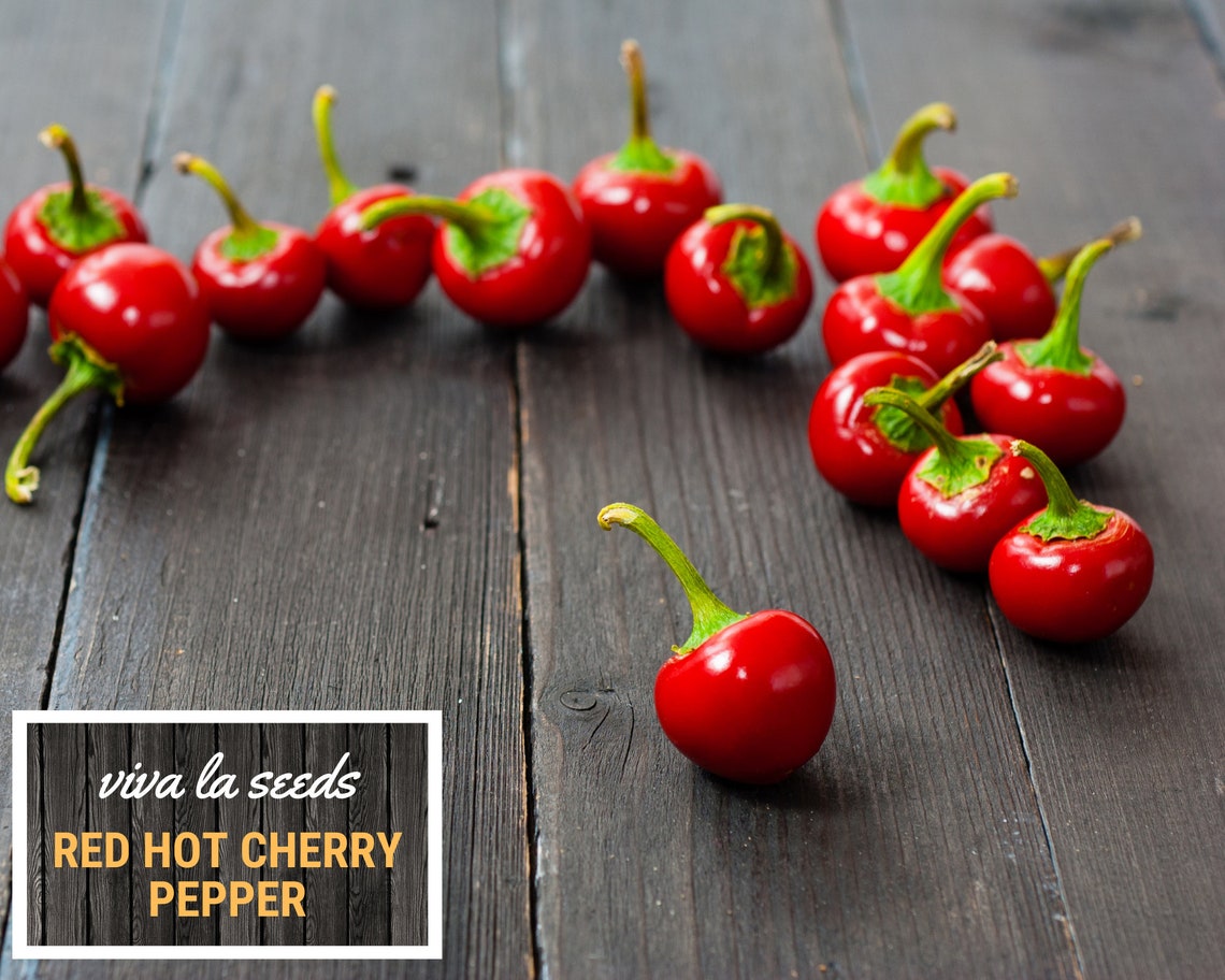 Pepper Red Hot Cherry 25 Seeds Easy to Grow Heirloom | Etsy