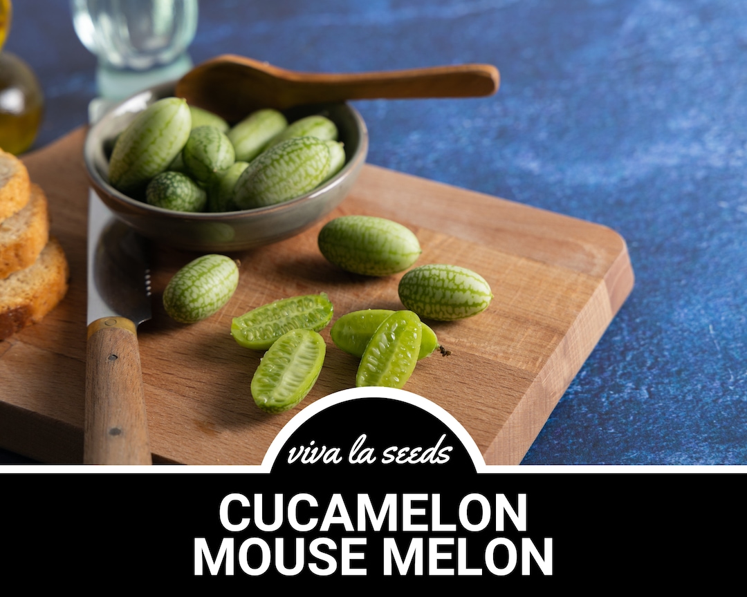 Mouse Melon | Cucamelon | 10 Seeds | Heirloom Vegetable | Open ...