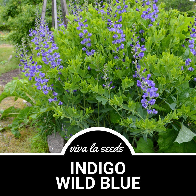 Blue Indigo - Etsy