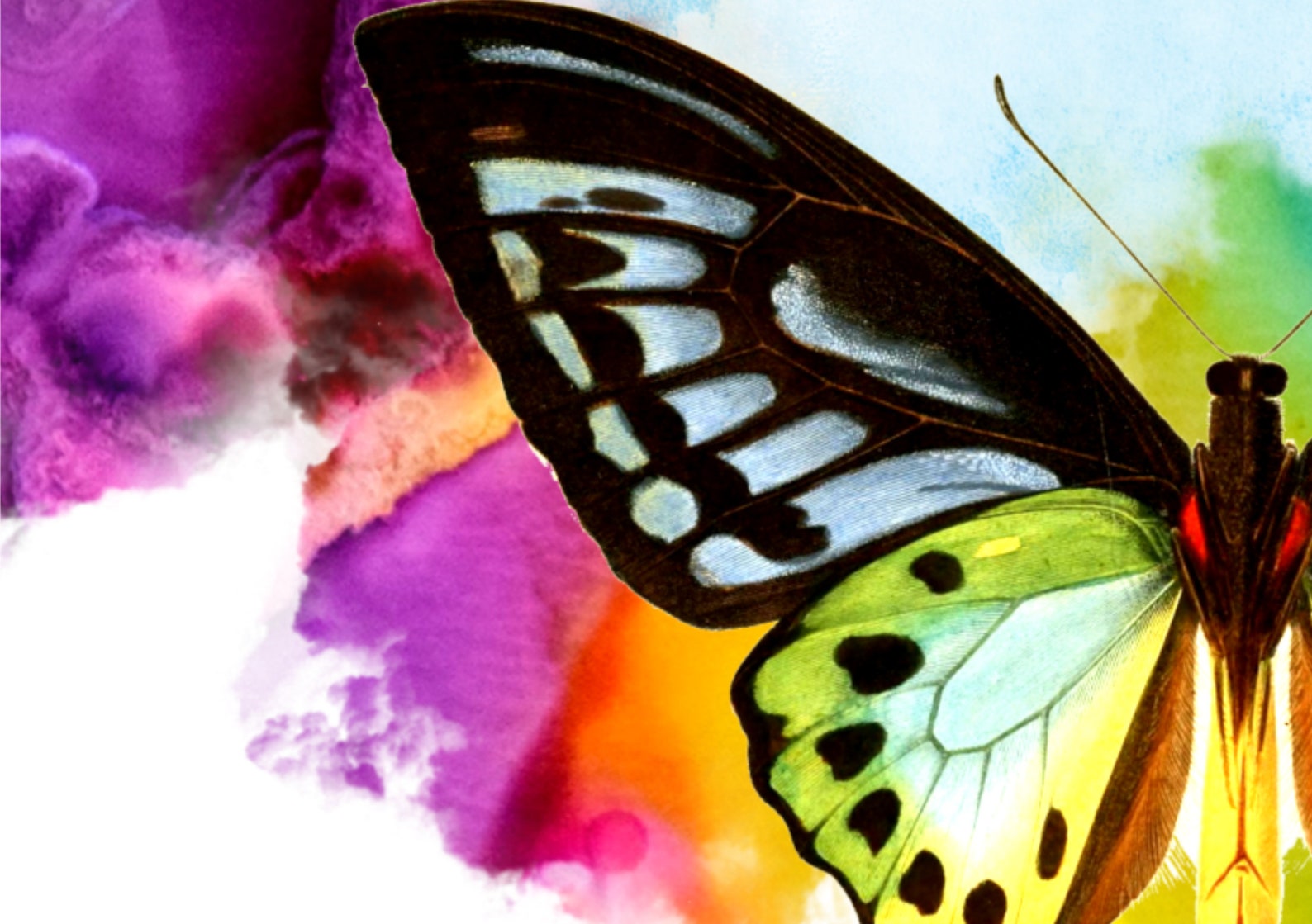 Happiness is Like a Butterfly Quote Wall Art Printable Poem - Etsy UK