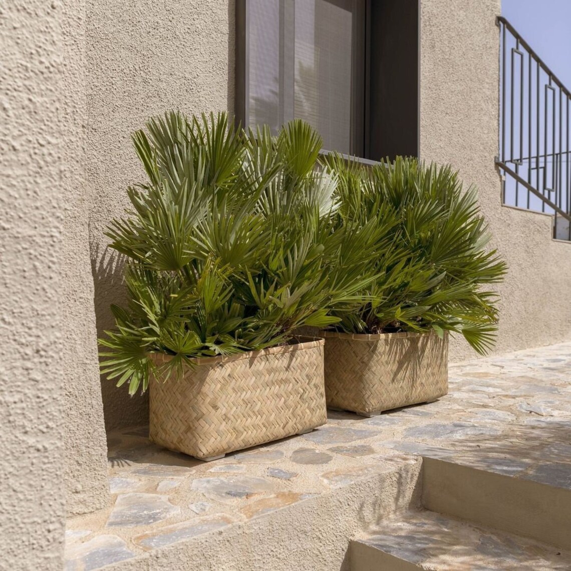 Large Bamboo Planter Box / Indoor & Outdoor Plant Basket/ Rectangle ...