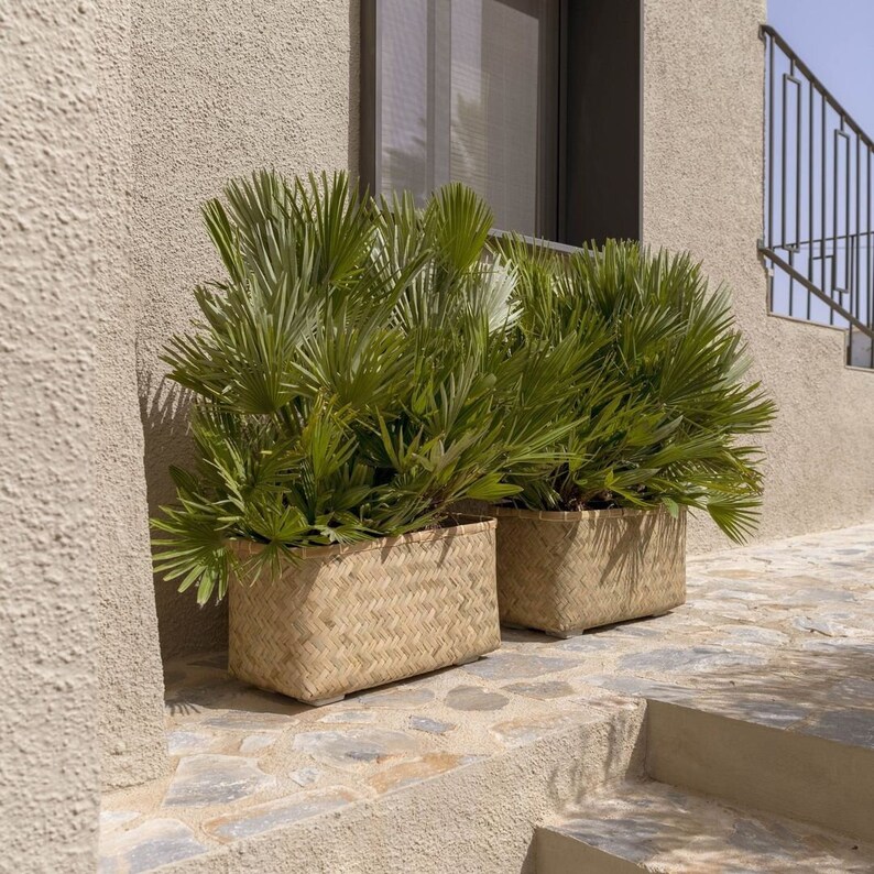Large Bamboo Planter Box / Indoor & Outdoor Plant Basket/ Rectangle ...