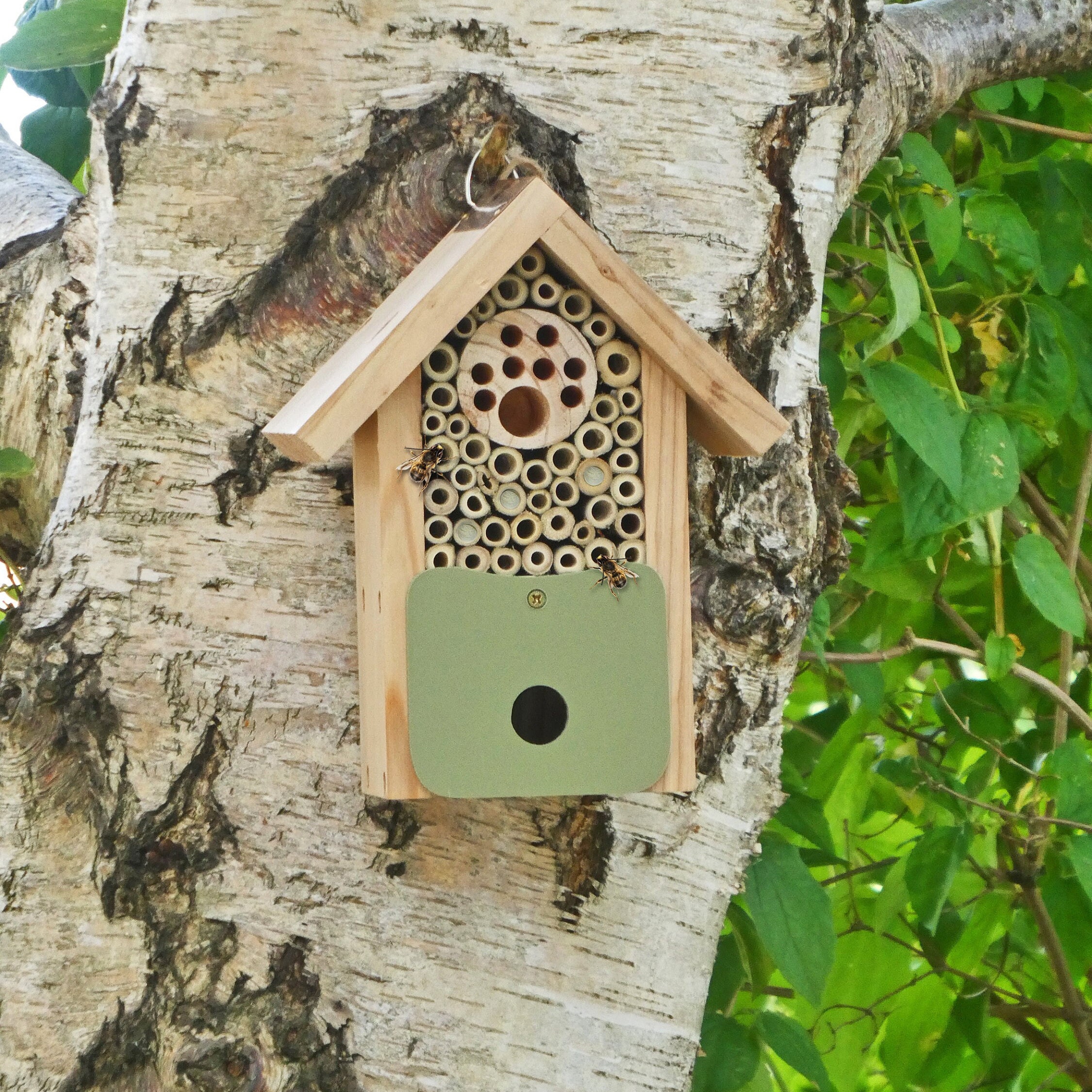 Wooden Bee Barn: FSC Timber, Solitary Bee House - Etsy