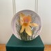 Botanical Daffodil Large Paperweight Made With Real Daffodil - Etsy