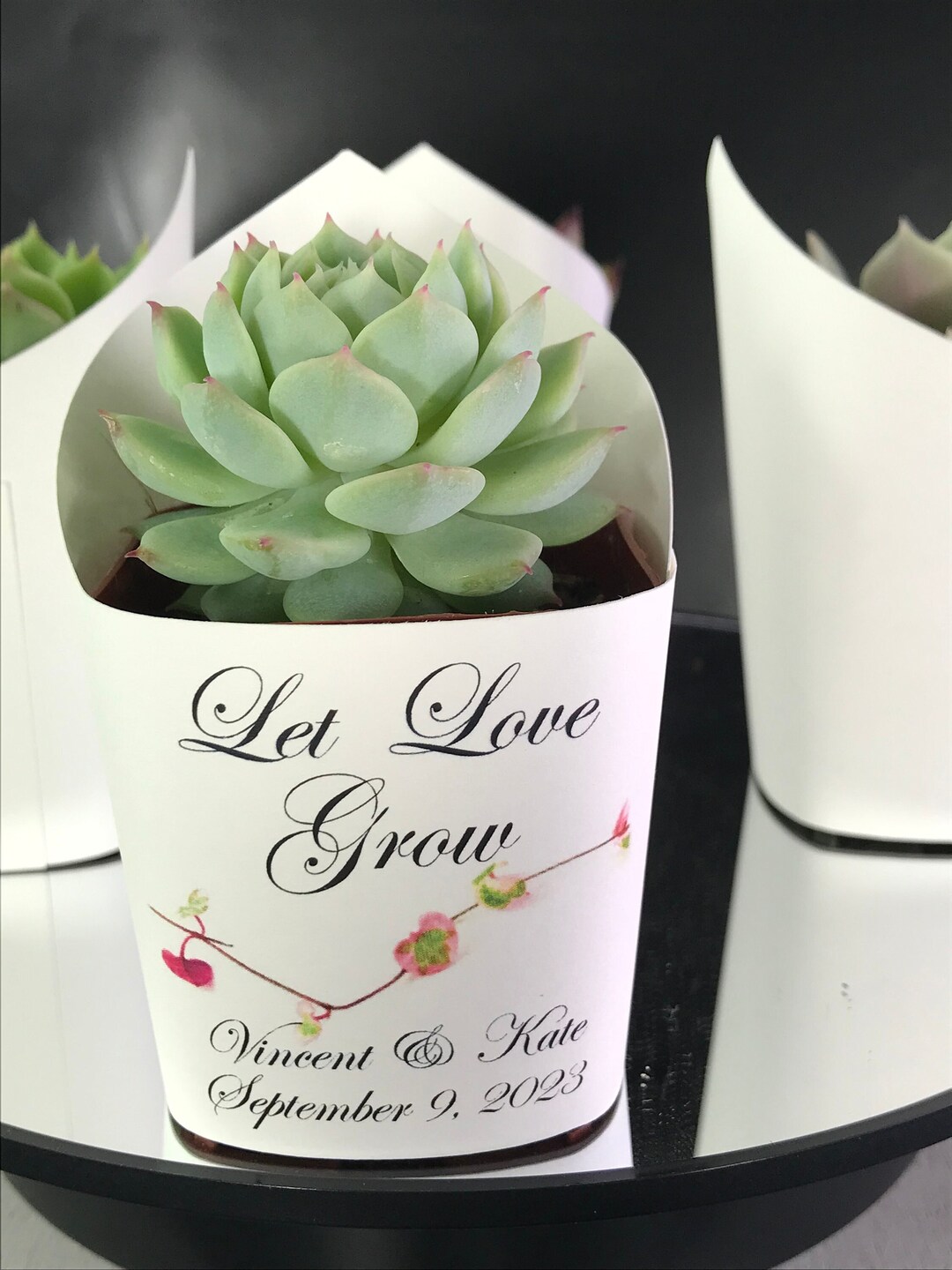Premium White Dove Succulent Wrappers for Wedding Favors as Thank You ...