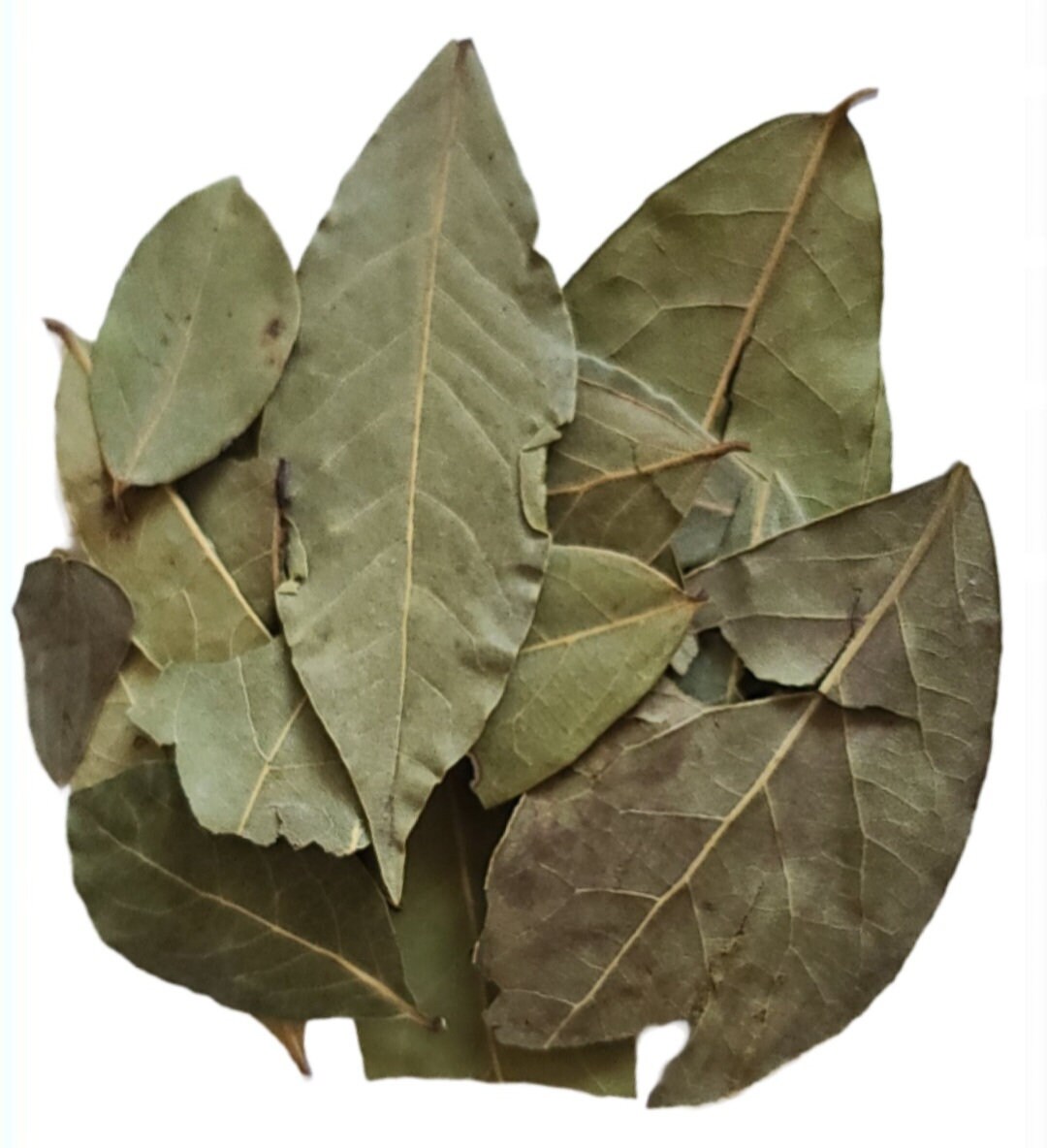 Bay Leaves - Feuilles De Laurier - Etsy