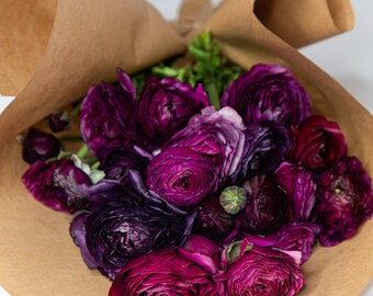 Purple Ranunculus | Etsy