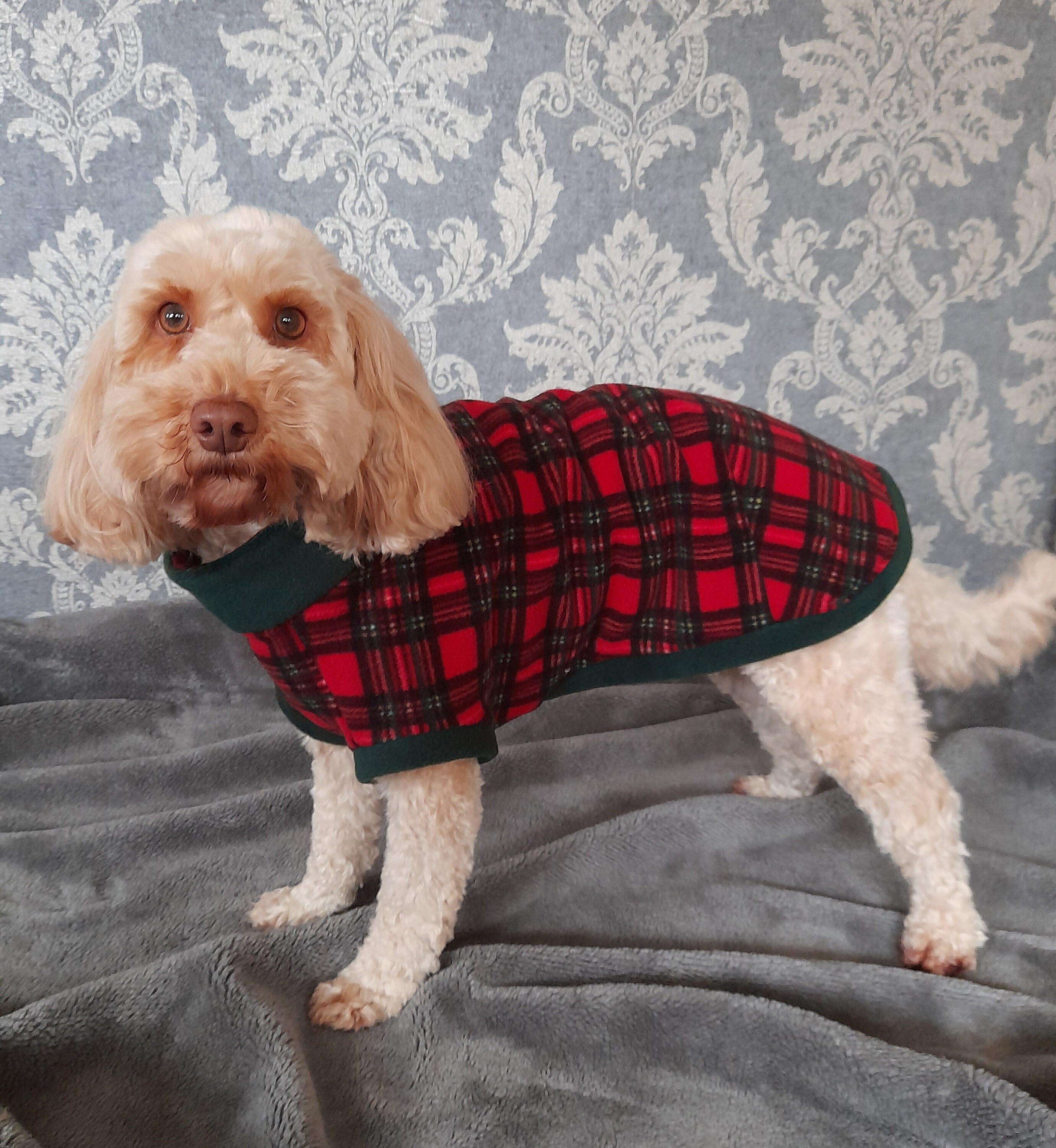 Polar Fleece Cockapoo Dog Coat Tartan Winter Warm - Etsy UK