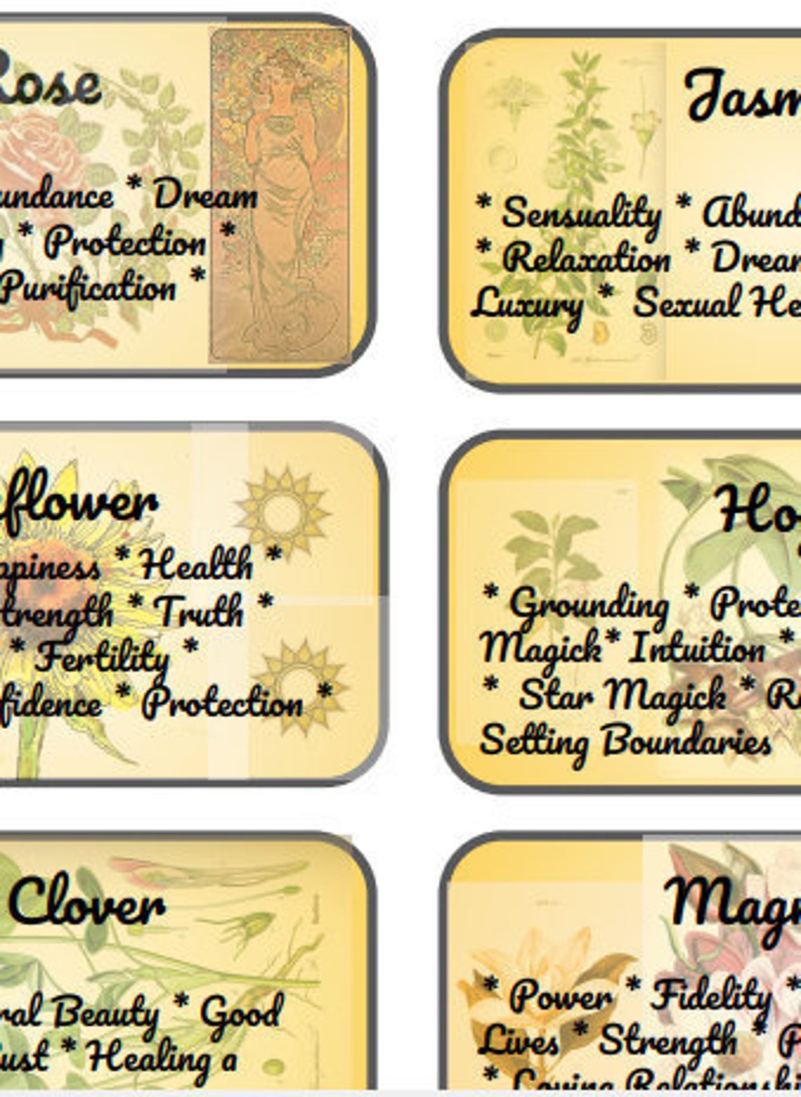Labels for Herbs & Their Magickal Uses - Etsy