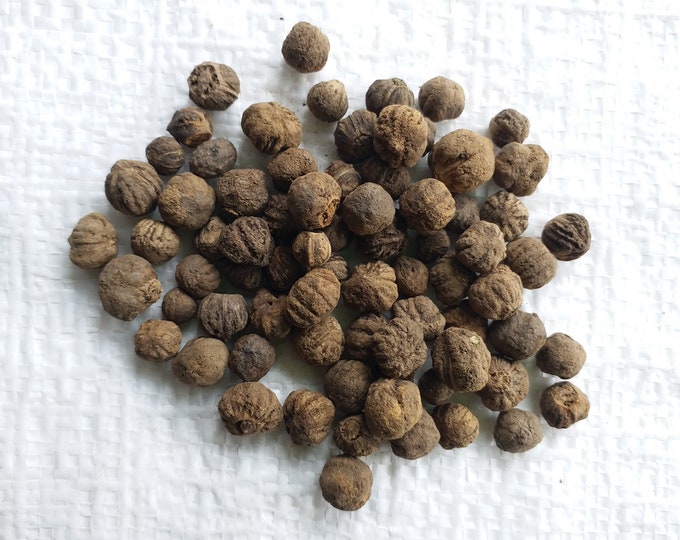 100 Tectona Grandis Seeds, Teak Tree Seeds ,teak Wood Seeds - Etsy Canada