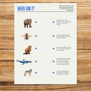 Climate Change, Wild Animals Education, Classroom Slides, Environmental ...